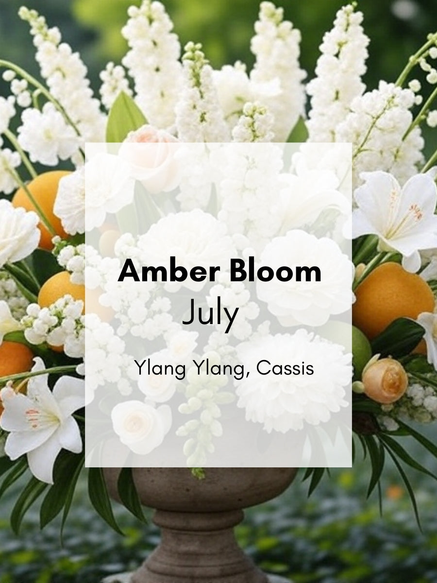 Amber Bloom – SCENT STRATEGY